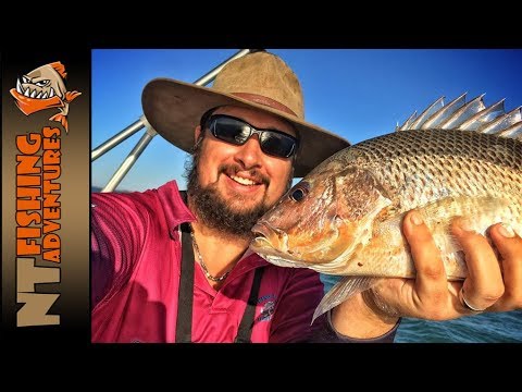 Fishing at Crocodile Point - YouTube