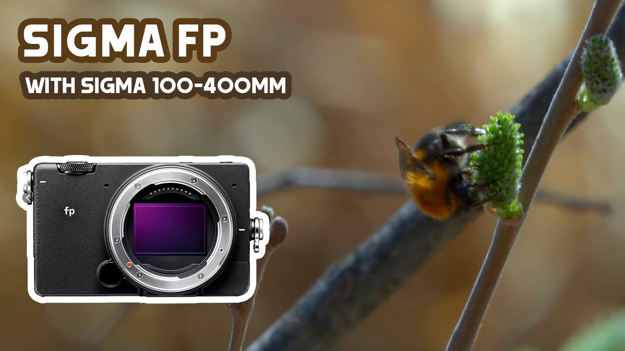 Sigma fp / Cinema DNG 12 bit / Sigma 100-400mm lens / Bumblebee 4K ...