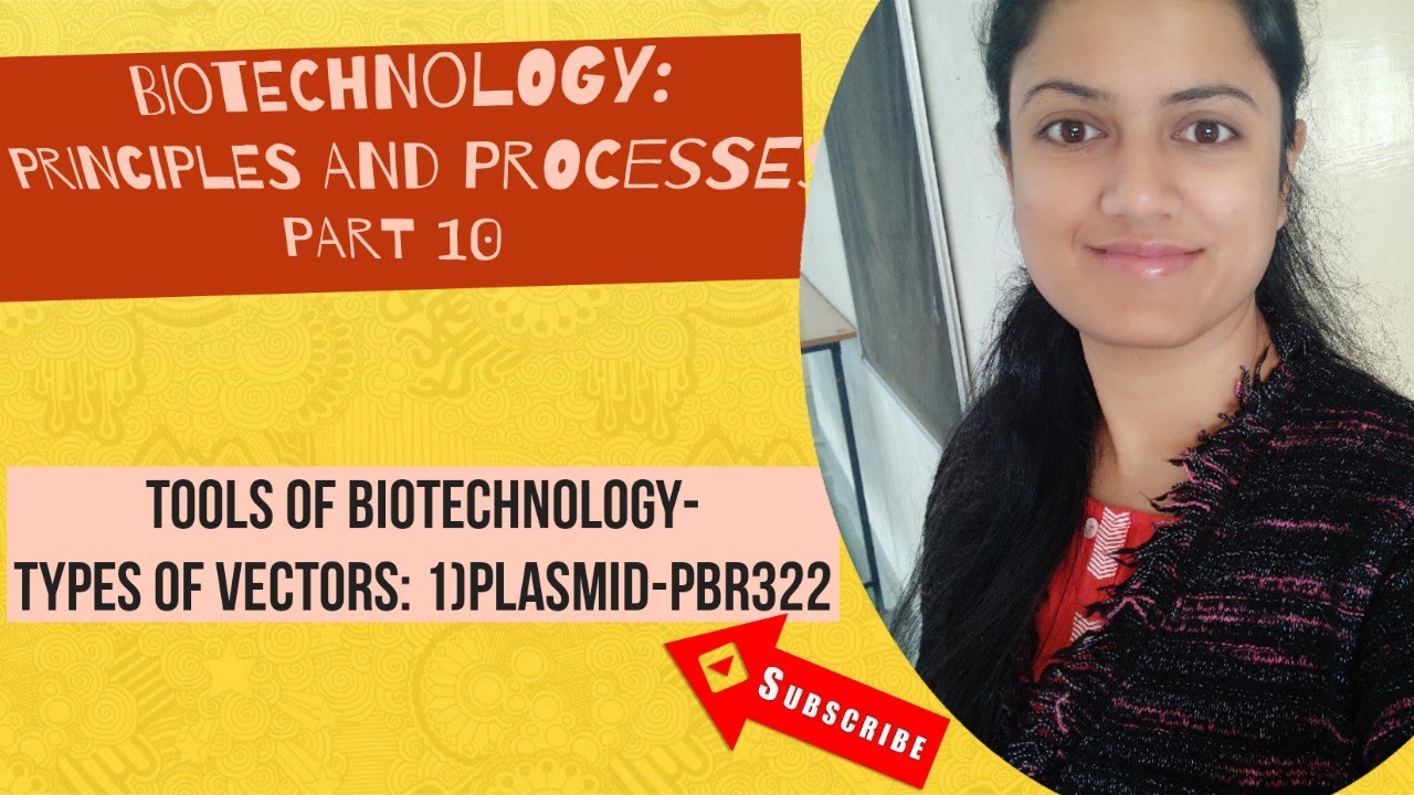 Biotechnology:Principles and Processes[Tools of biotechnology(Types of ...