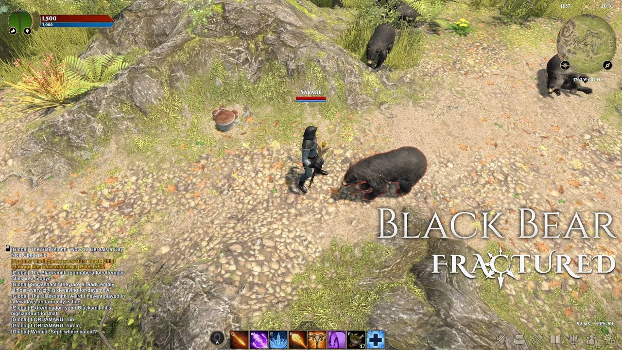 Black Bear - Skills, Abilities, Location - Bestiary - Fractured MMO ...