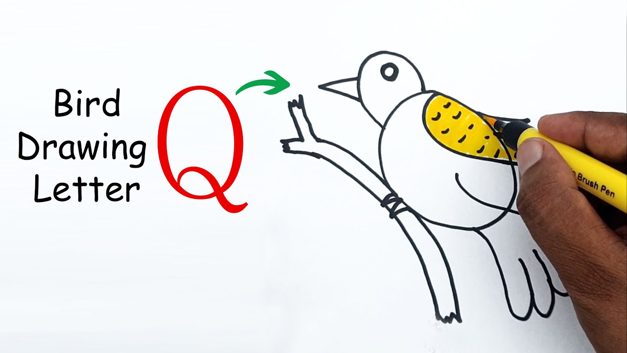 Bird Drawing letter 'Q' | Easy Bird Drawing For Beginner | How to draw ...