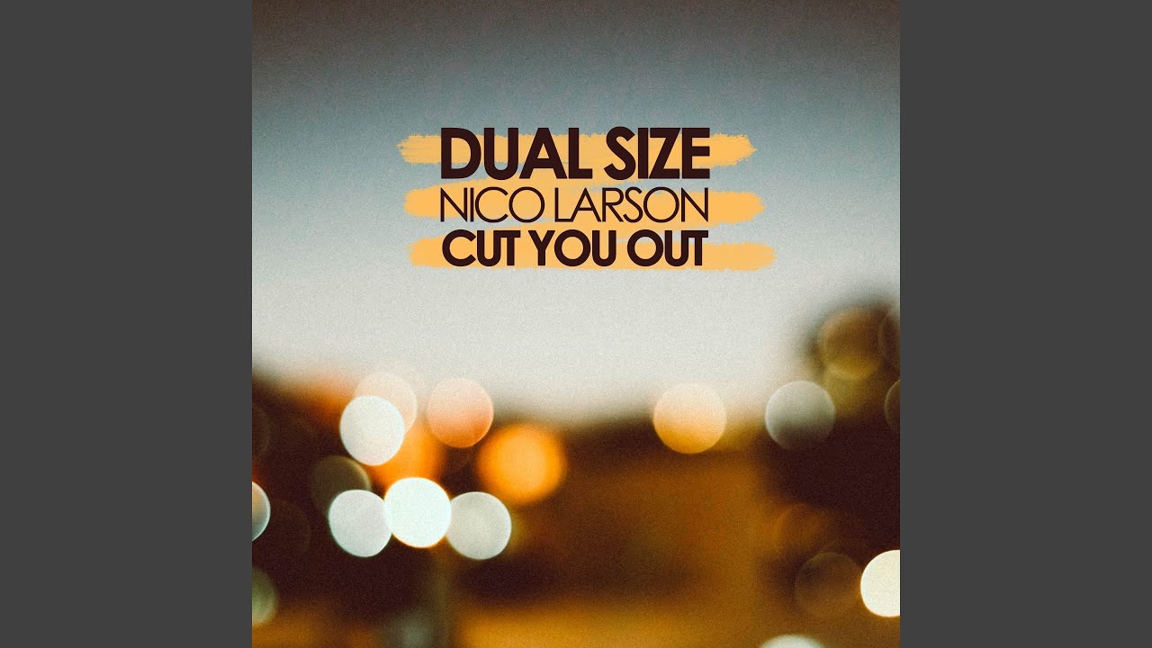 Cut You Out (feat. Nico Larson) (Extended Mix) - YouTube