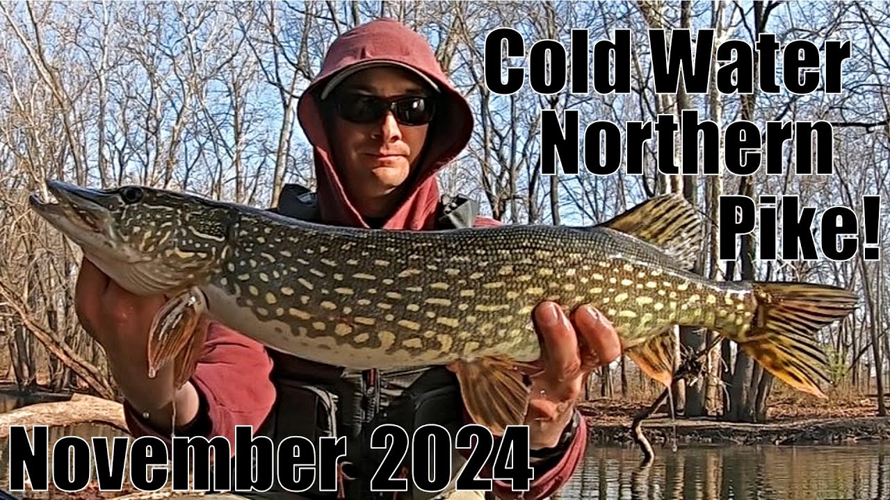 Indiana Kayak Fishing: Cold Water Northern Pike 11/24/24 - YouTube