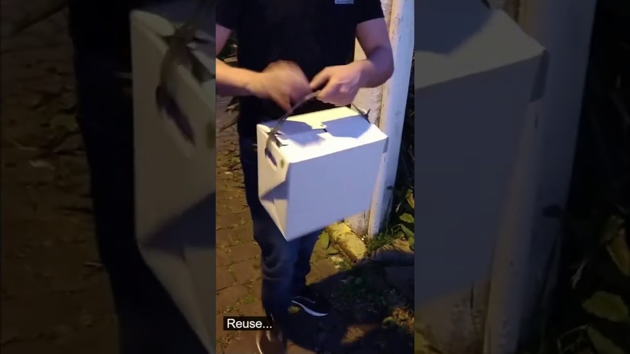 Ecooler - an innovative cardboard cooler at retail - YouTube