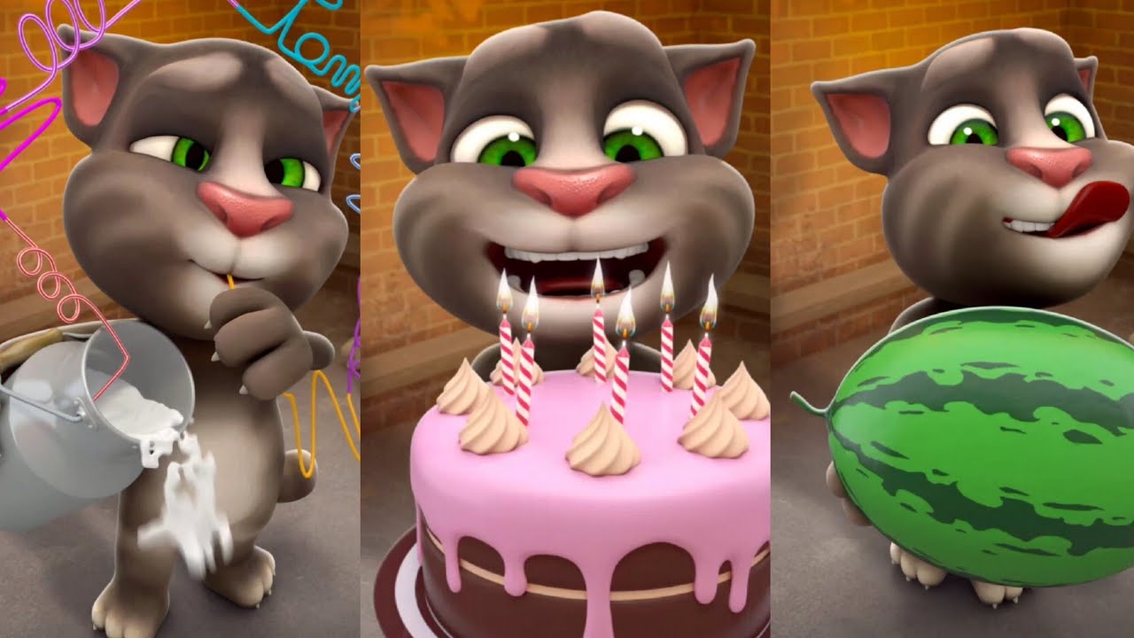 talking tom cute and funny cat videos | enjoying time 🤣 & eating ...