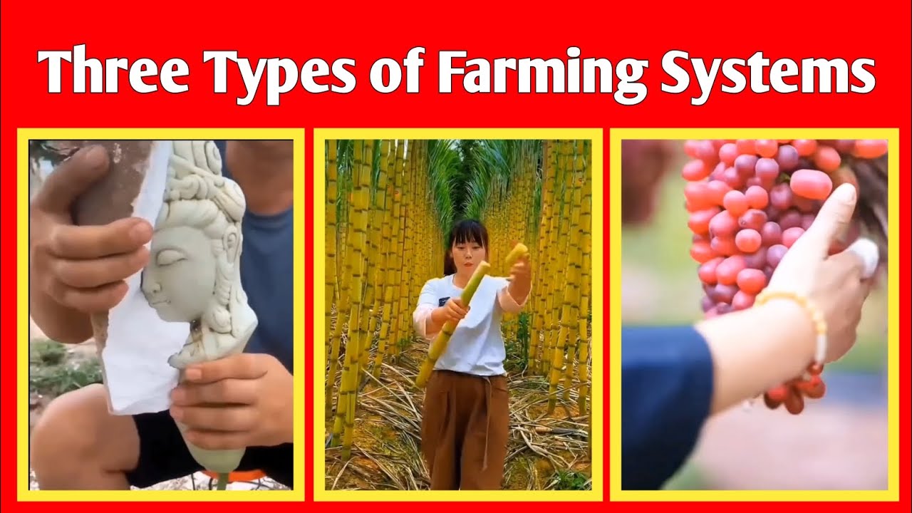 Three Types of Farming Systems - YouTube