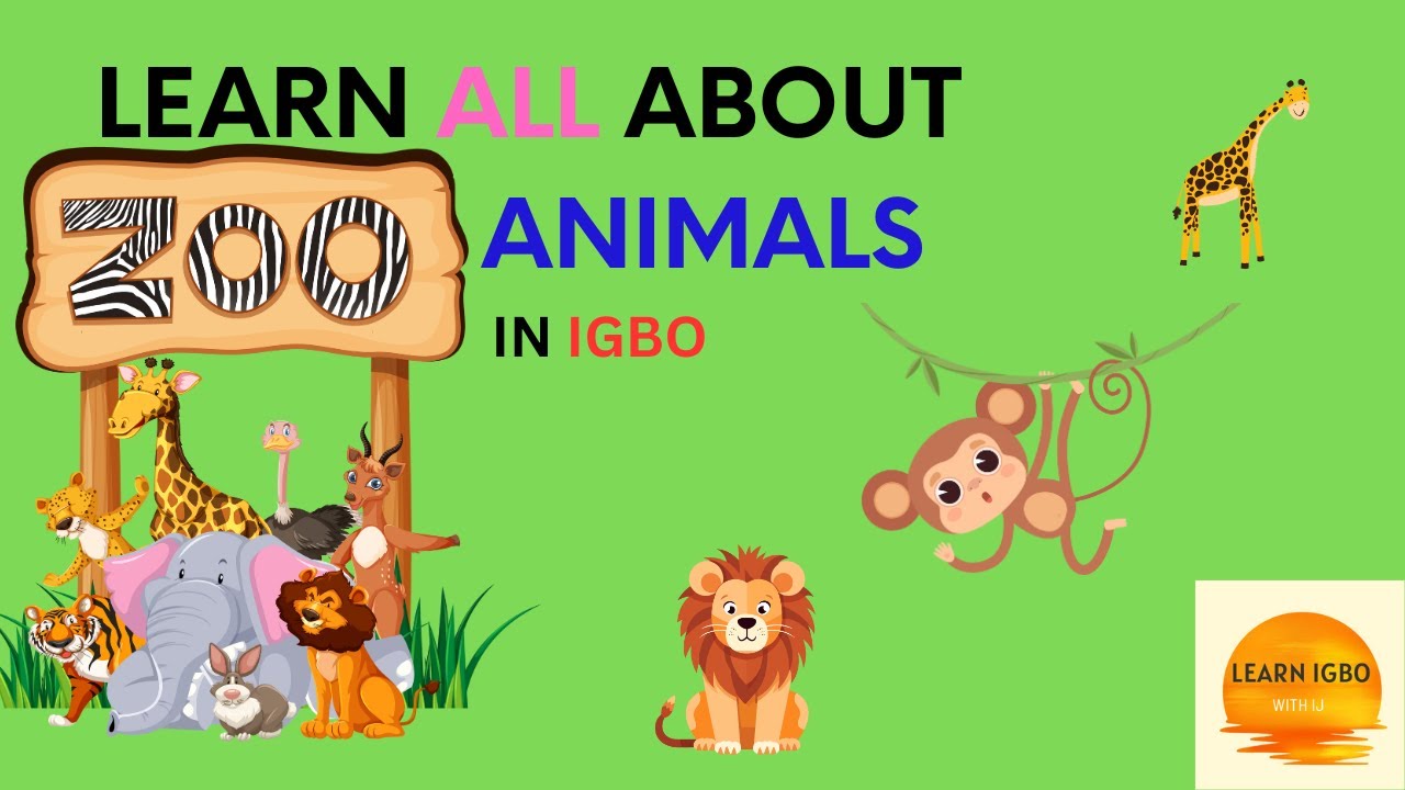 POPULAR ZOO ANIMALS AND THEIR IGBO NAMES - YouTube
