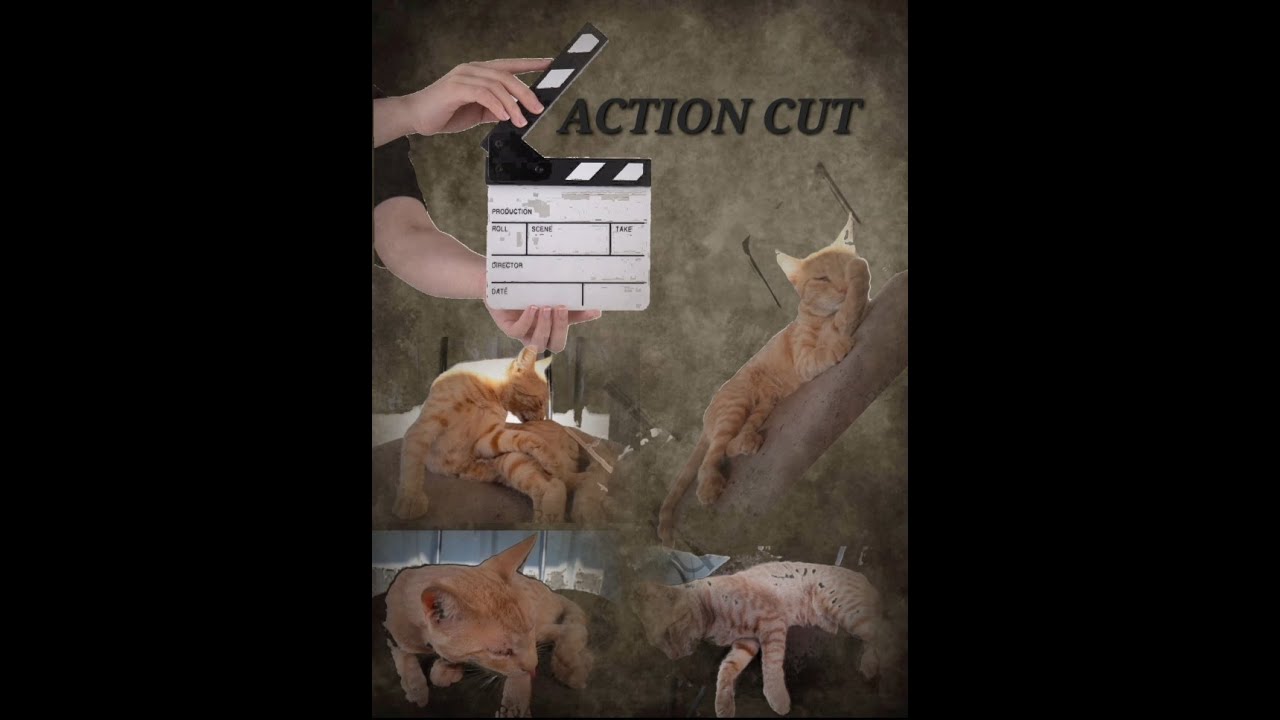 Action Cut🎬🎬 - YouTube