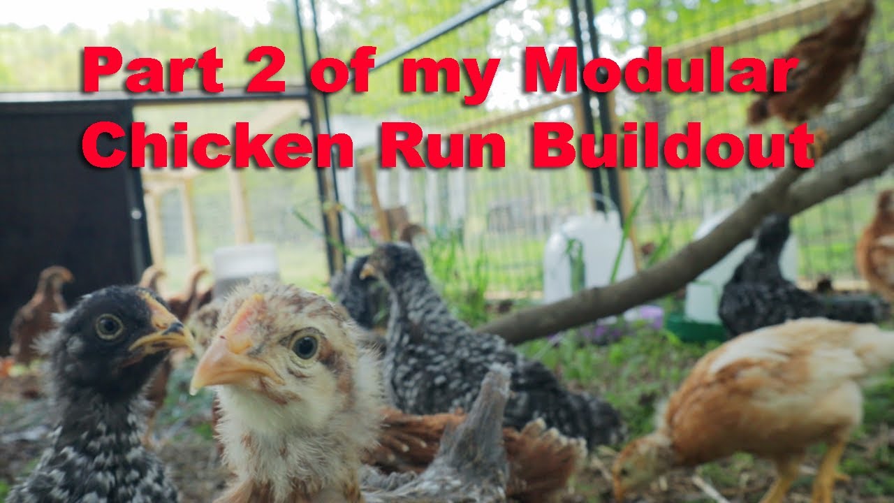 How I Built a Modular and Mobile Chicken Run - Part 2 - YouTube