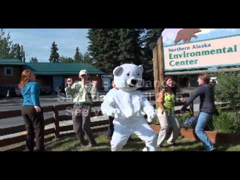 Polar Bear Dance!
