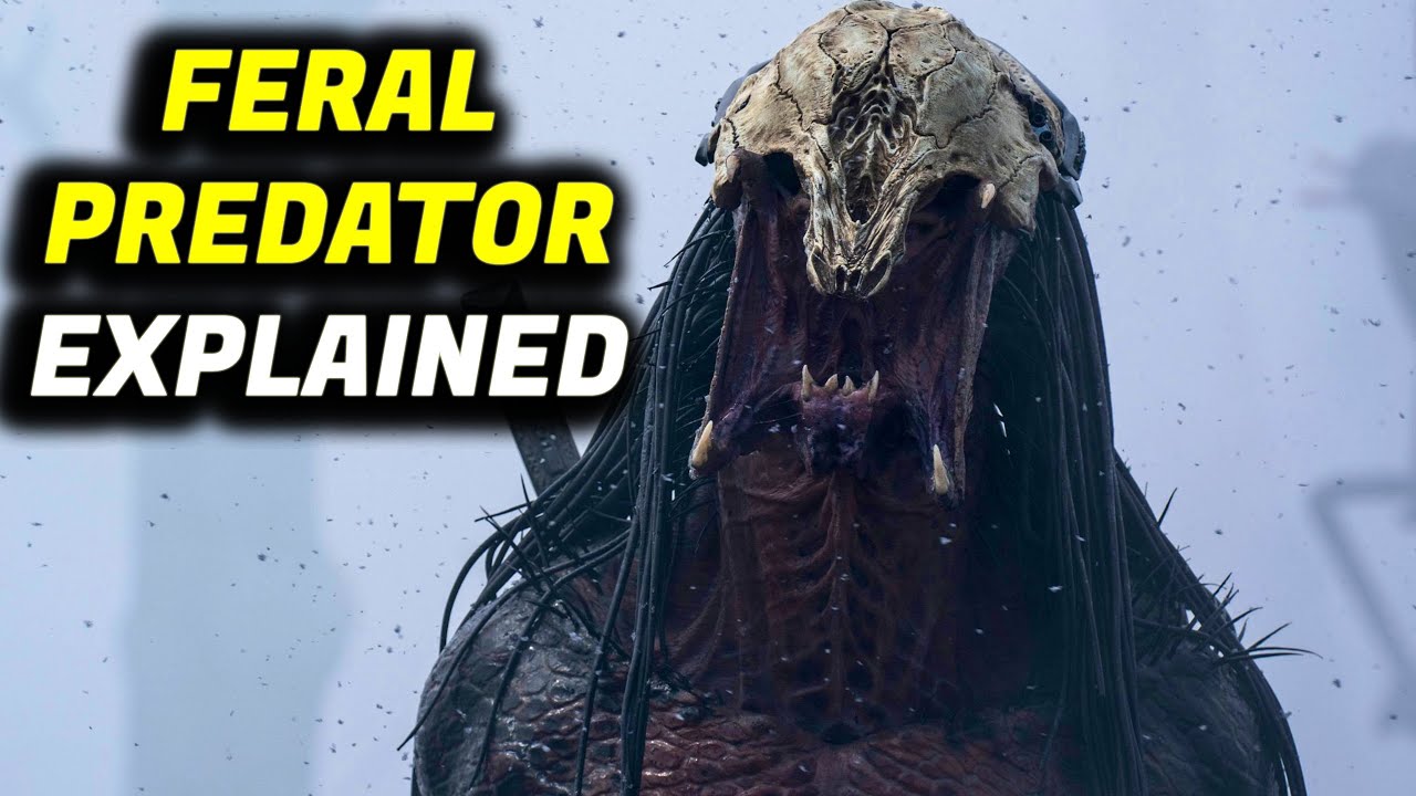 The Feral Predator Explained - Detailed Review Of Biology - YouTube