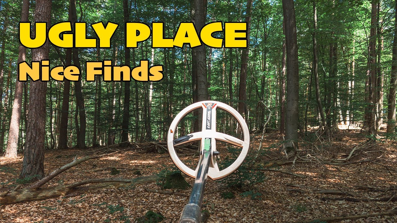 Small Forest Patch, Great Result! Nice Treasure Hunt on an Ugly Slope ...