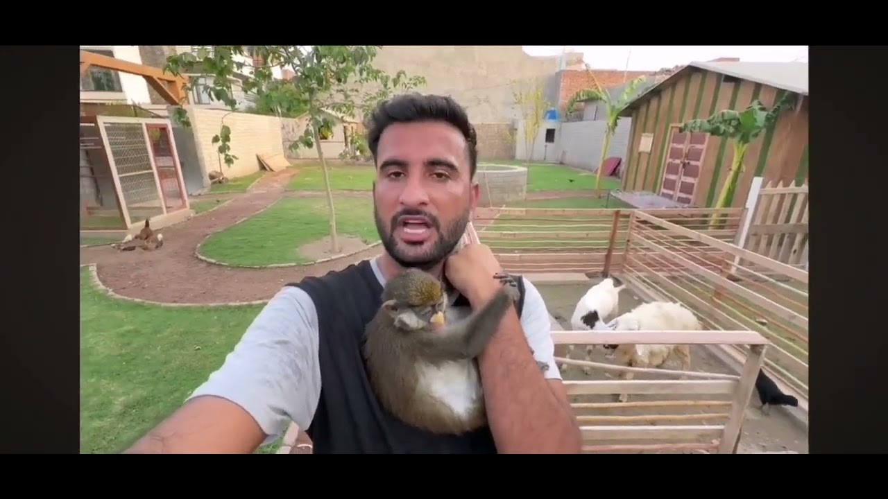 Don't Underestimate the power of juggu😎 - YouTube