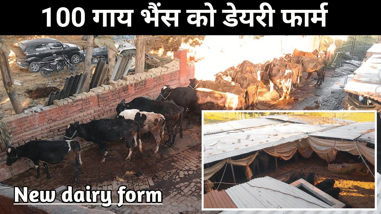 New dairy form|| dairy form in India - YouTube