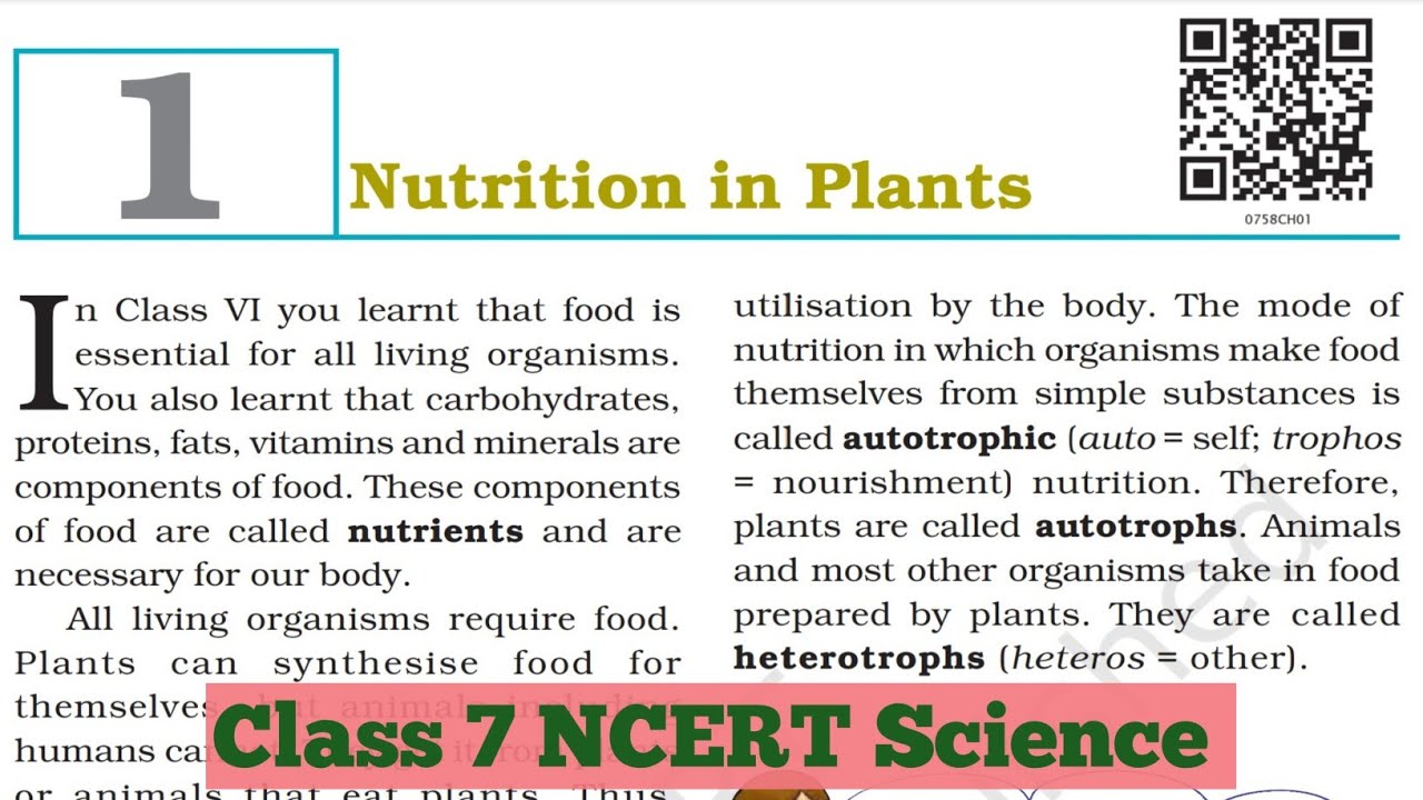 ncert class 7 science chapter 1 | science chapter 1 class 7 NCERT # ...