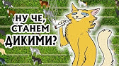 Коты-воители | Второй цикл |~в двух словах •Gacha Life• - YouTube