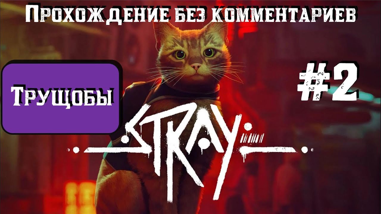 Трущобы Stray #2 [#Stray] - YouTube