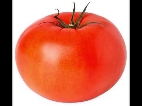 tomato - YouTube