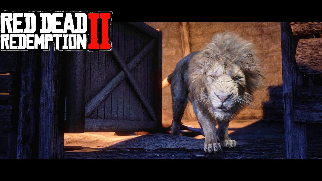 Rdr2 - Arthur Kills Lion !!!! - YouTube