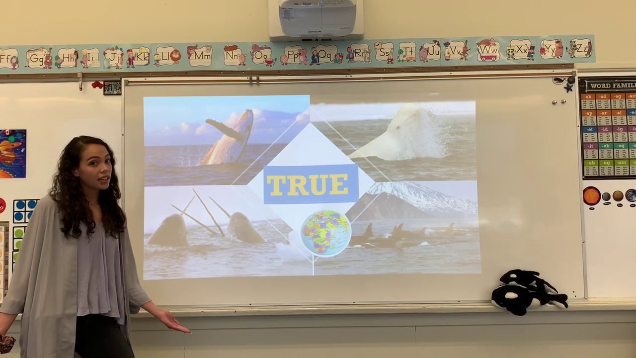 Ms. Kwan teaches "Marine Mammals: Know, Wonder, Learn" - YouTube