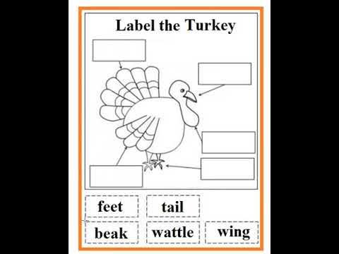 Turkey Body Parts Game - Loving2Read.com - YouTube