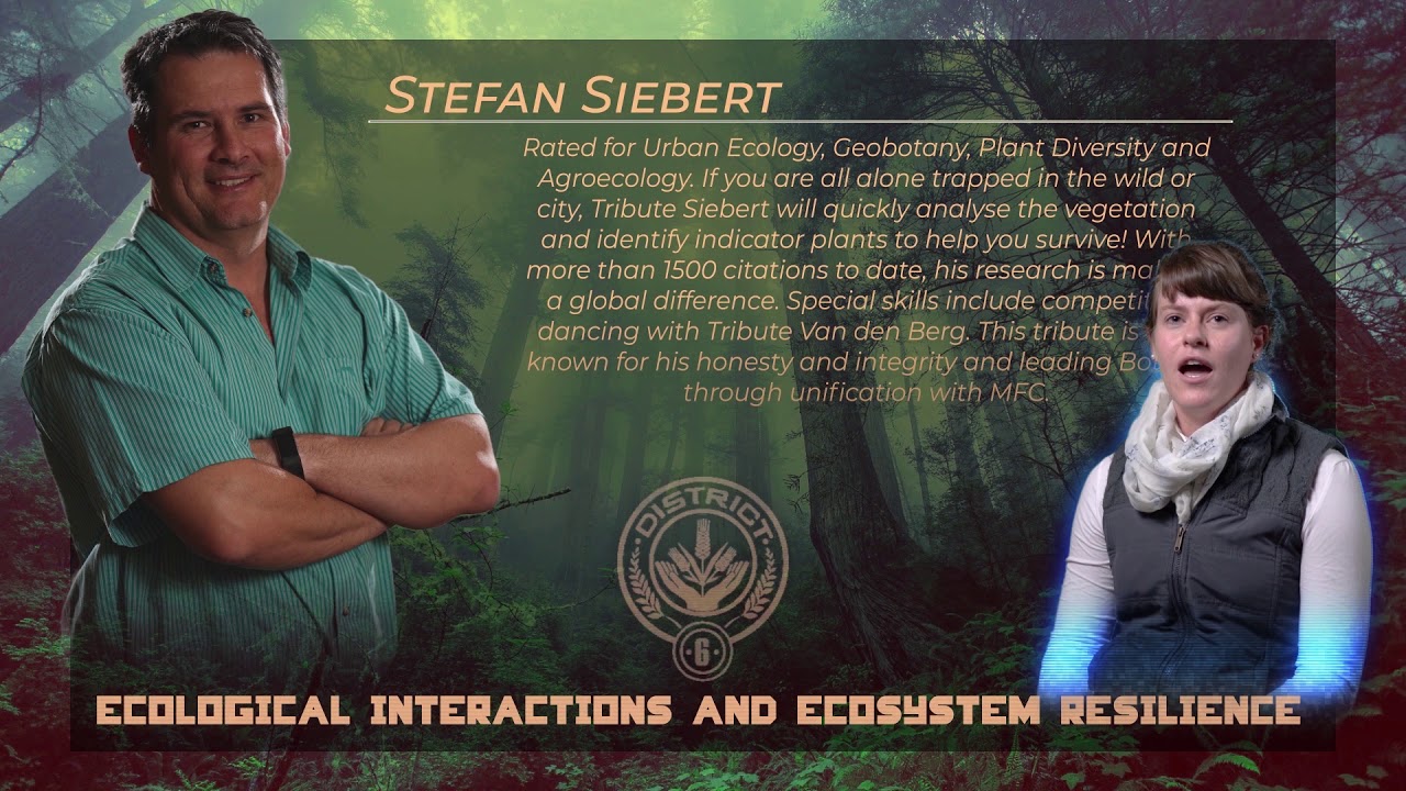 Stefan Siebert - YouTube