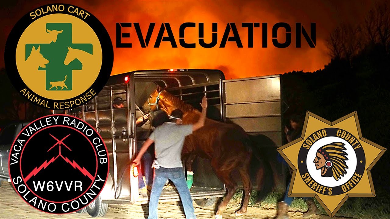 What's Your Animal Evacuation Plans? - YouTube