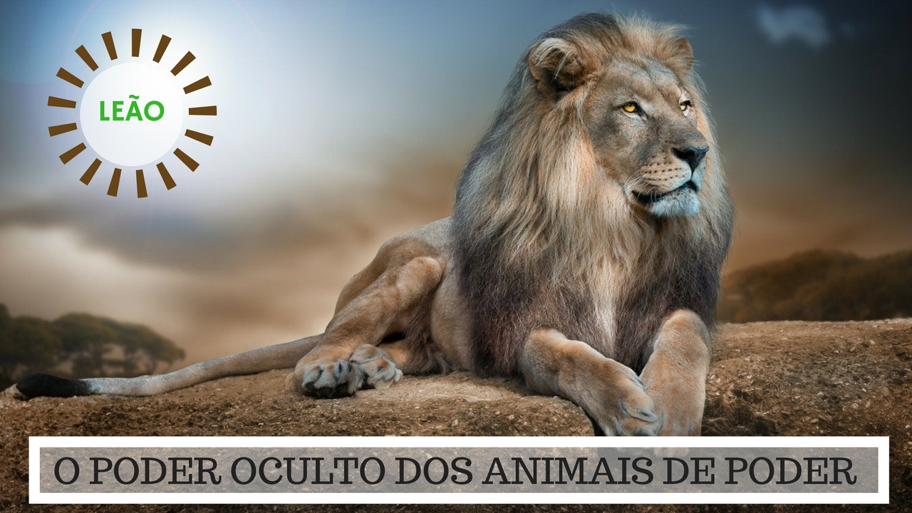 Significado do Leão - O Poder Oculto do Animal de Poder! - YouTube