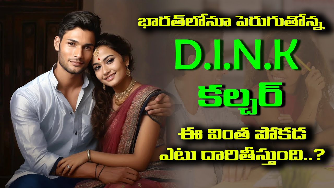 దేశంలో పెరిగిపోతున్న DINK లైఫ్ స్టైల్ |DINK Life Style | Double-Income ...