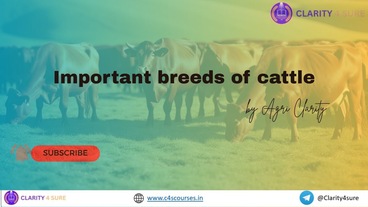Dual Purpose & Exotic Breeds of Cattle - Animal husbandry |Concept ...