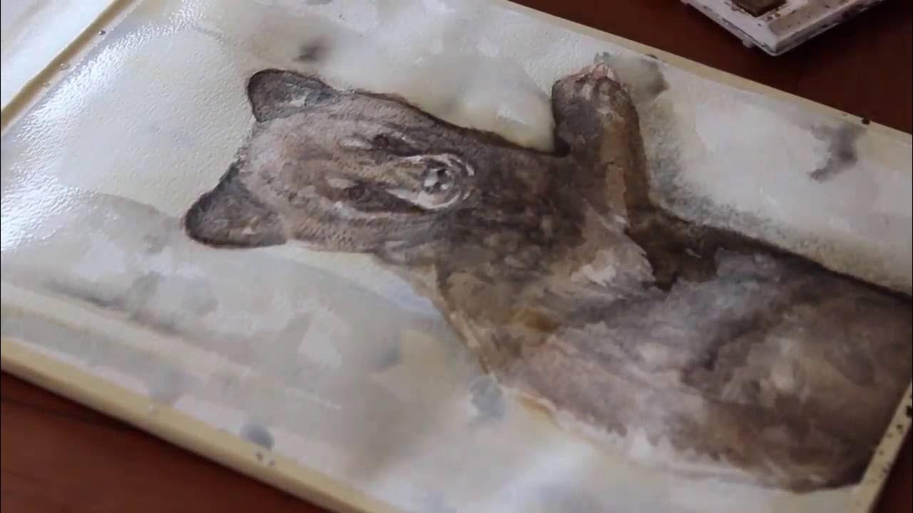 Black Bear Cub Watercolor Painting - YouTube
