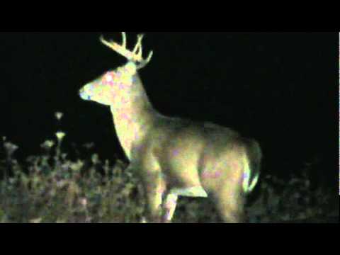 Ruttin Buck - West Finley Pa. - YouTube