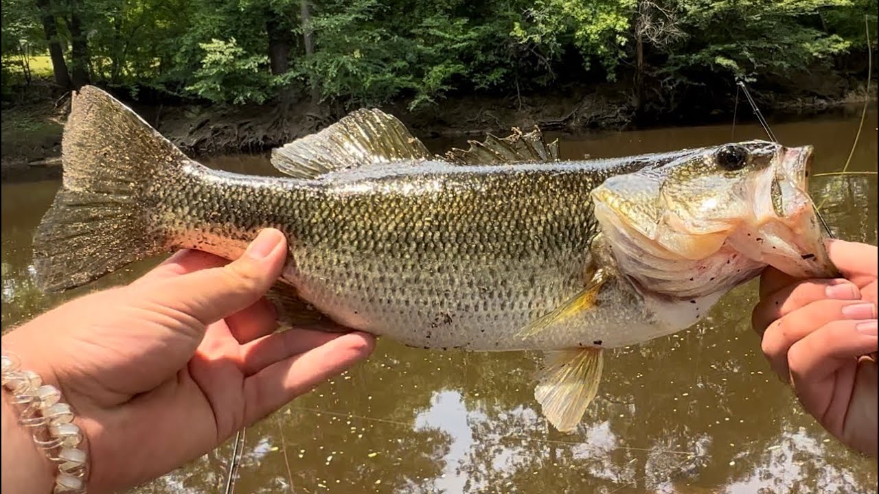 Lasso A fish challenge! #epicfail #funny #fail #bass #fishing # ...