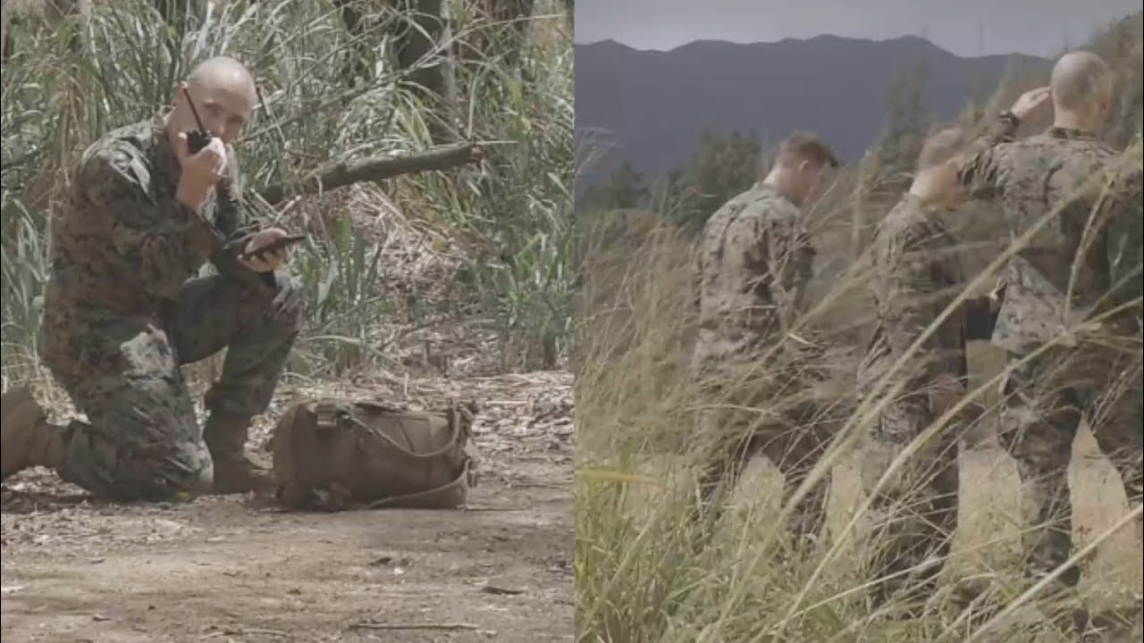 Corvus Dawn 24: Radio Reconnaissance Determination Signal | 3rd Radio ...