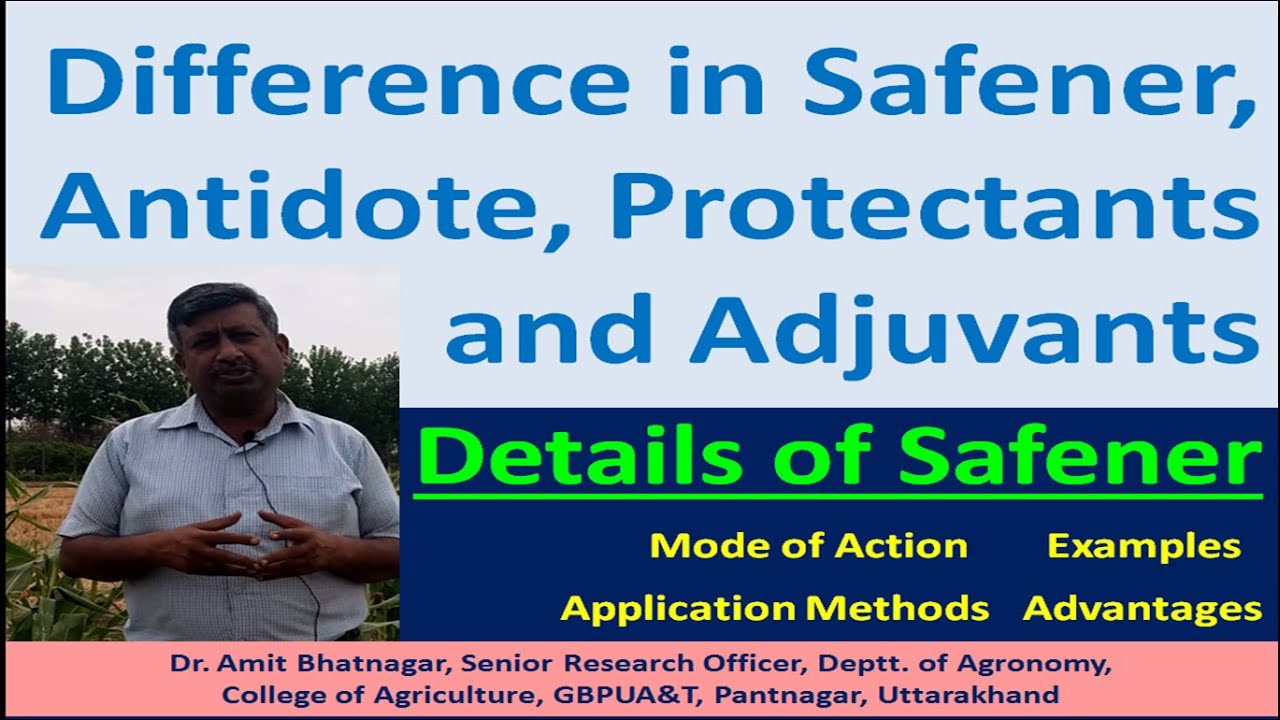 Difference in Safener, Antidote, Protectants and Adjuvants and Details ...