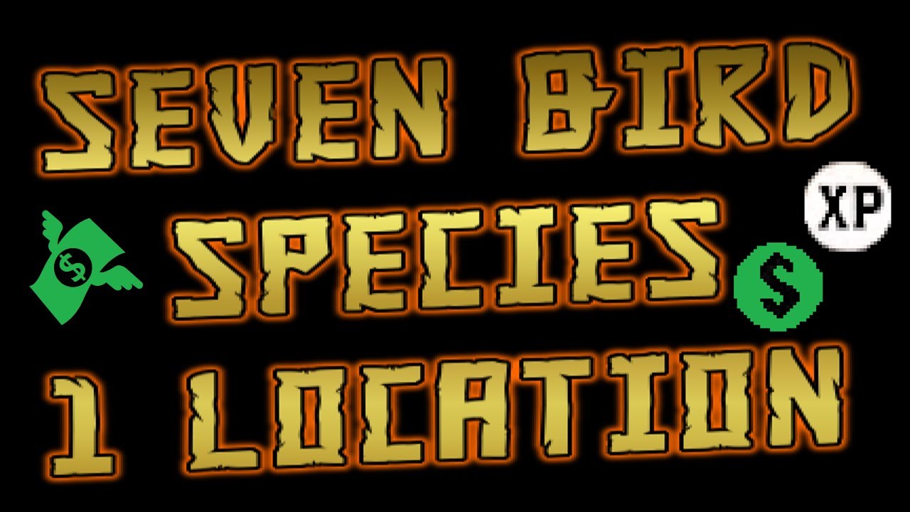 💸 Loon Geese Goose Eagle Hawk Owl Duck & Turkey Locations at Cattail ...