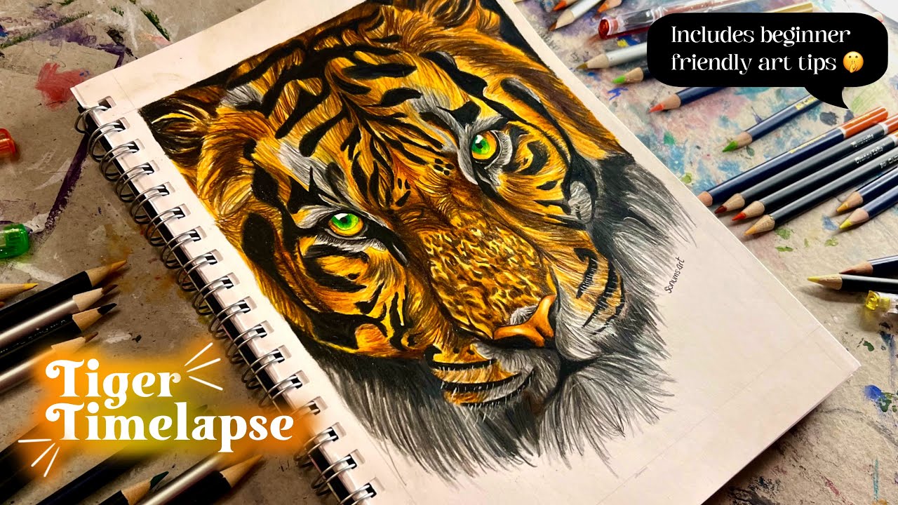 Satisfying Tiger Art Transformation | Watch This Coloured Pencil ...