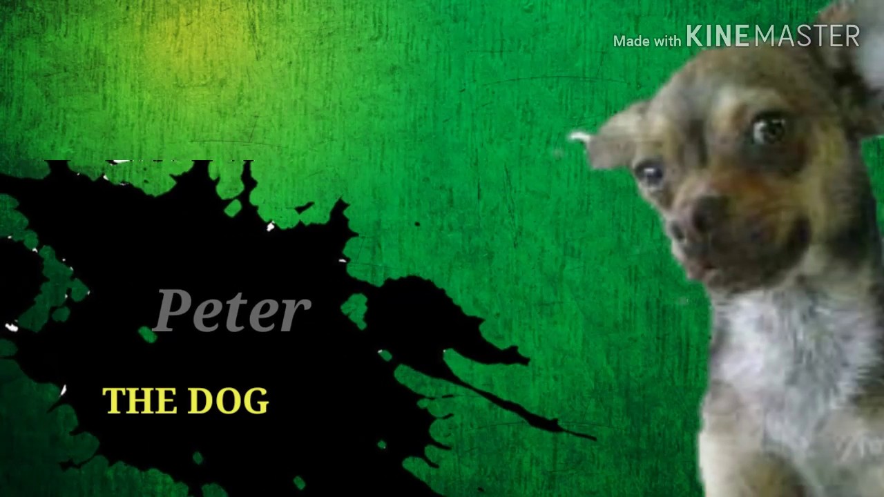 Super smash dogs ultimate | El Sebas - YouTube