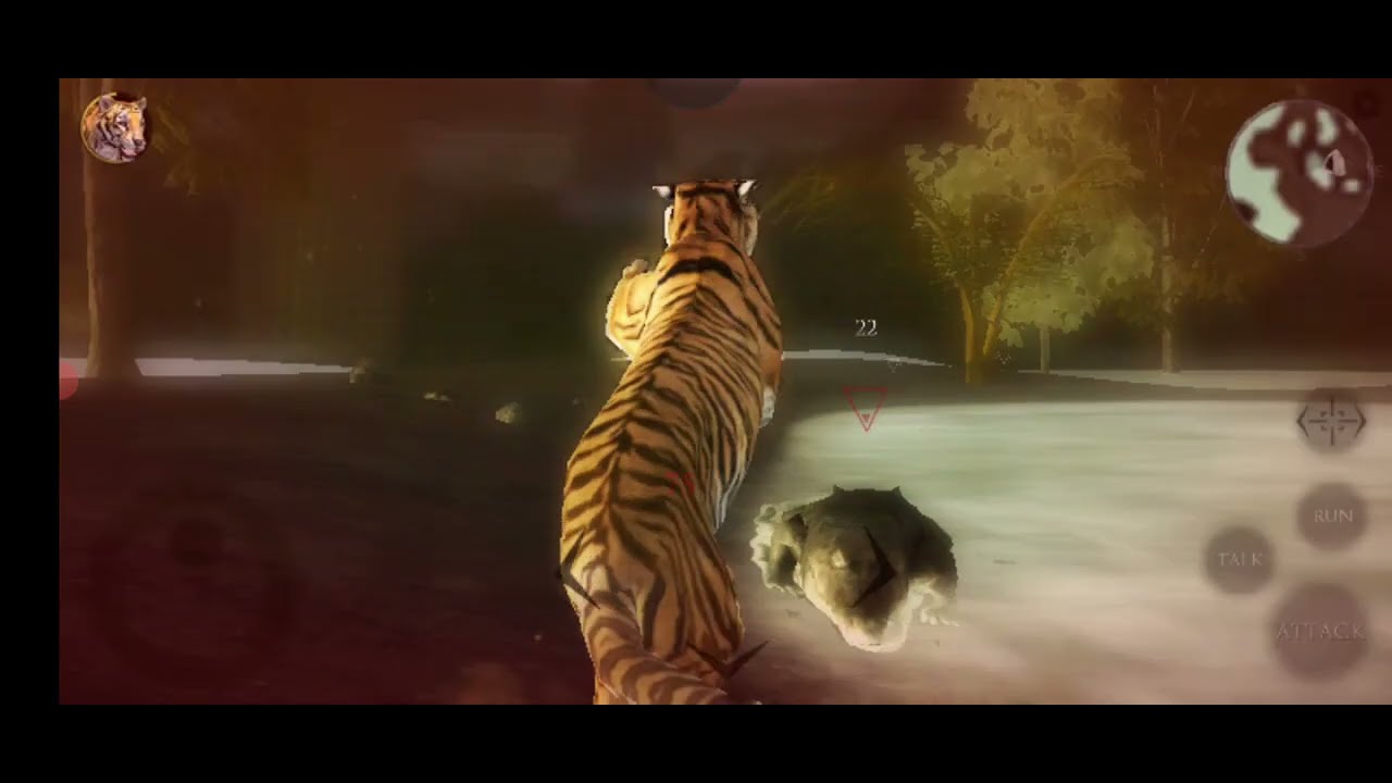 Tiger is looking for home,Ultimate Tiger Simulator 2 Gameplay - YouTube