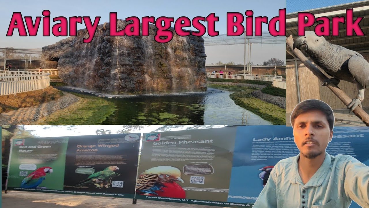 Inside India's Biggest Exotic Bird Aviary|Daman Bird Park| - YouTube