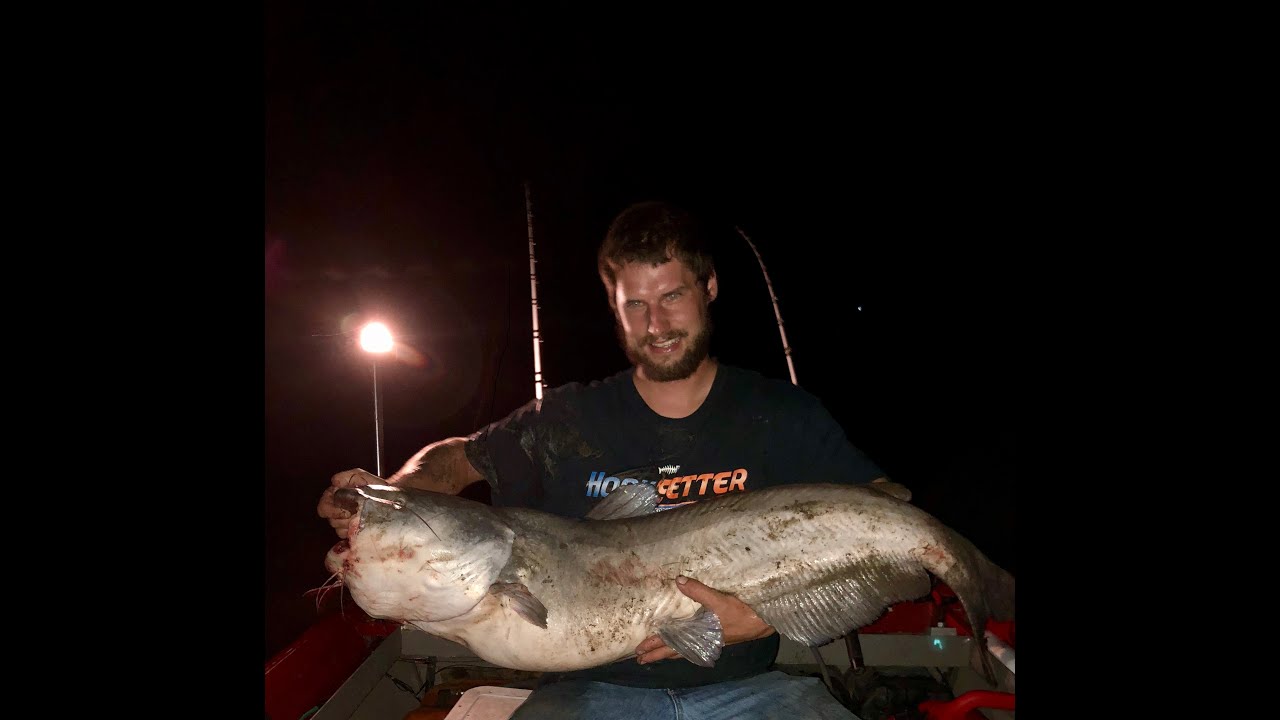 Big Catfish on the Missouri River at Night - YouTube
