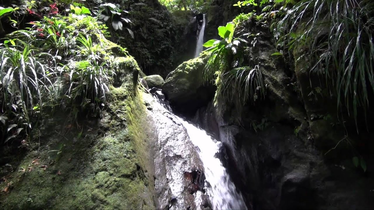 Canyon en Guadeloupe avec Vert Intense - YouTube