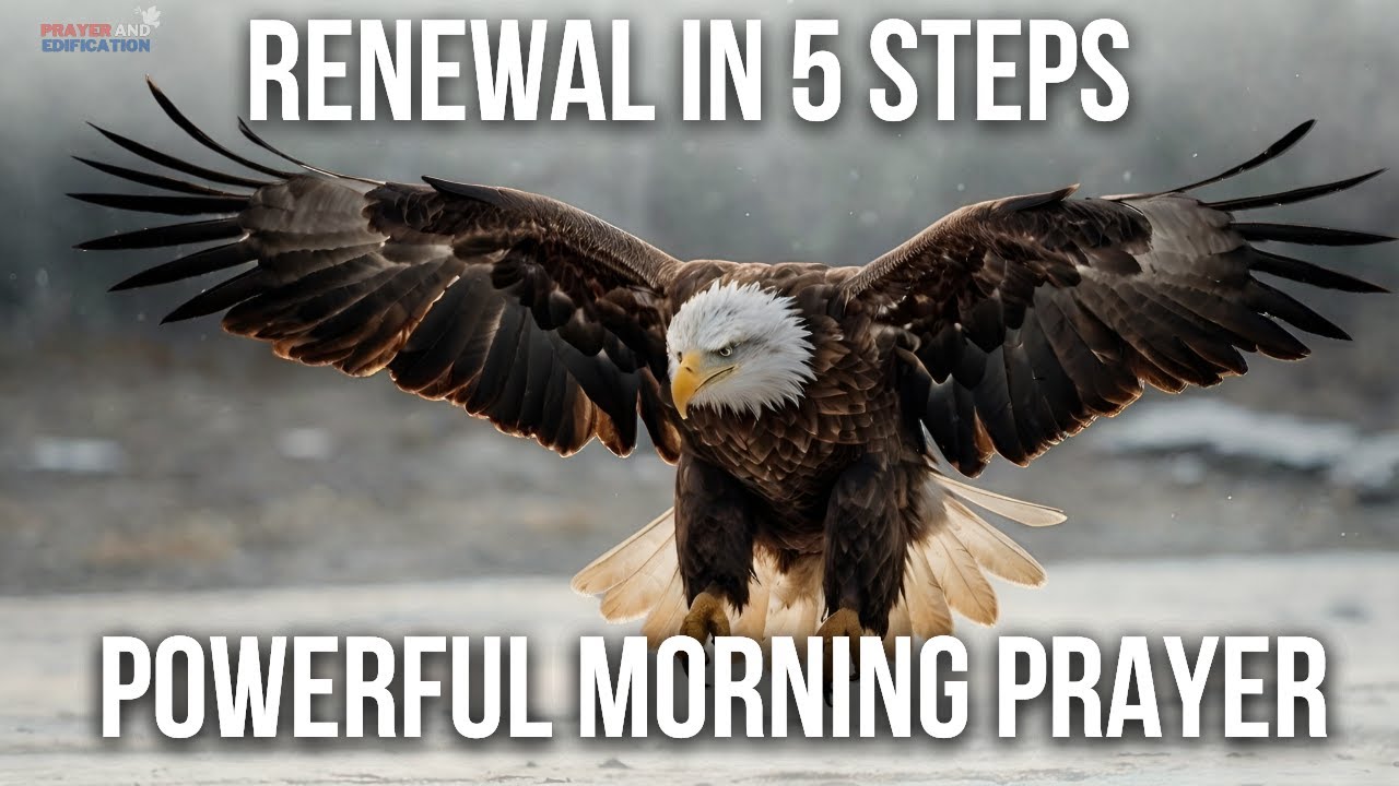 🌞THE 5 STEPS TO BE STRONG LIKE AN EAGLE AND BE RENEWED TODAY | POWERFUL ...