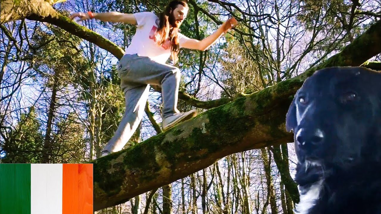 We Made An Awesome Irish Swing | Dogs First Time In A Woods - YouTube