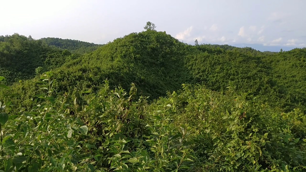 গজনী অবকাশ গারো পাহাড়, শেরপুর৷ Gojni Obokash, Garo Pahar, Sherpur ...