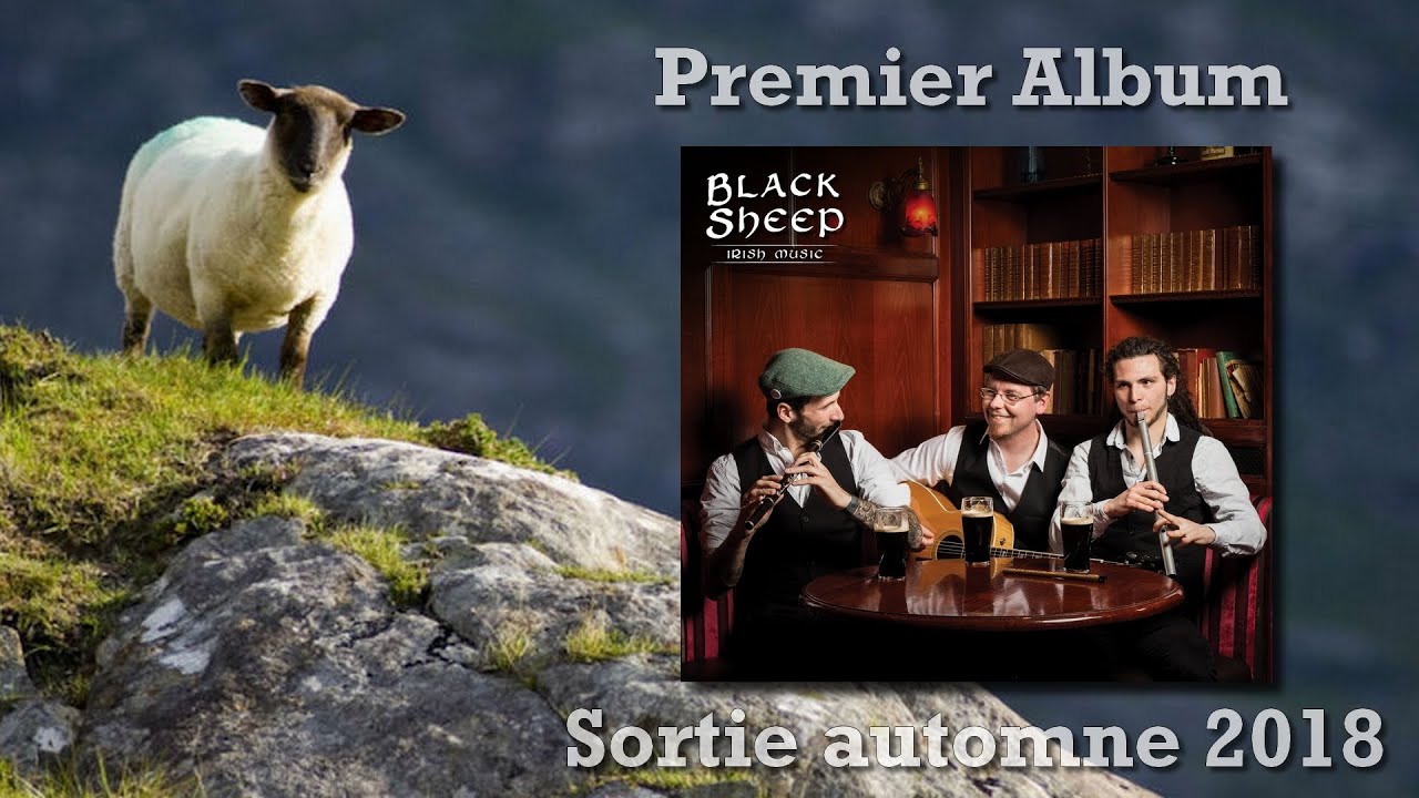 Black Sheep Premier Album - YouTube
