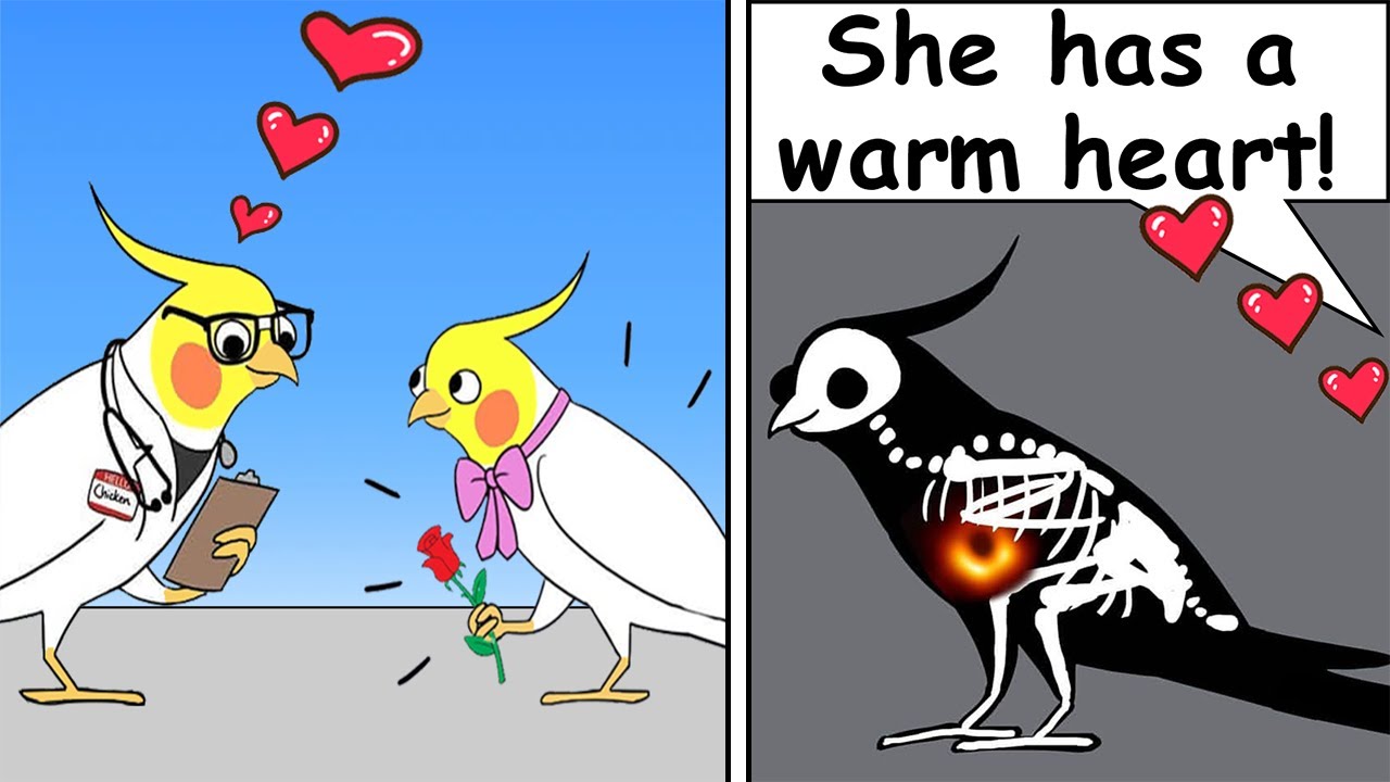 Funny Comics With a Parrot Twist #19 | Parrot Comic Dub - YouTube