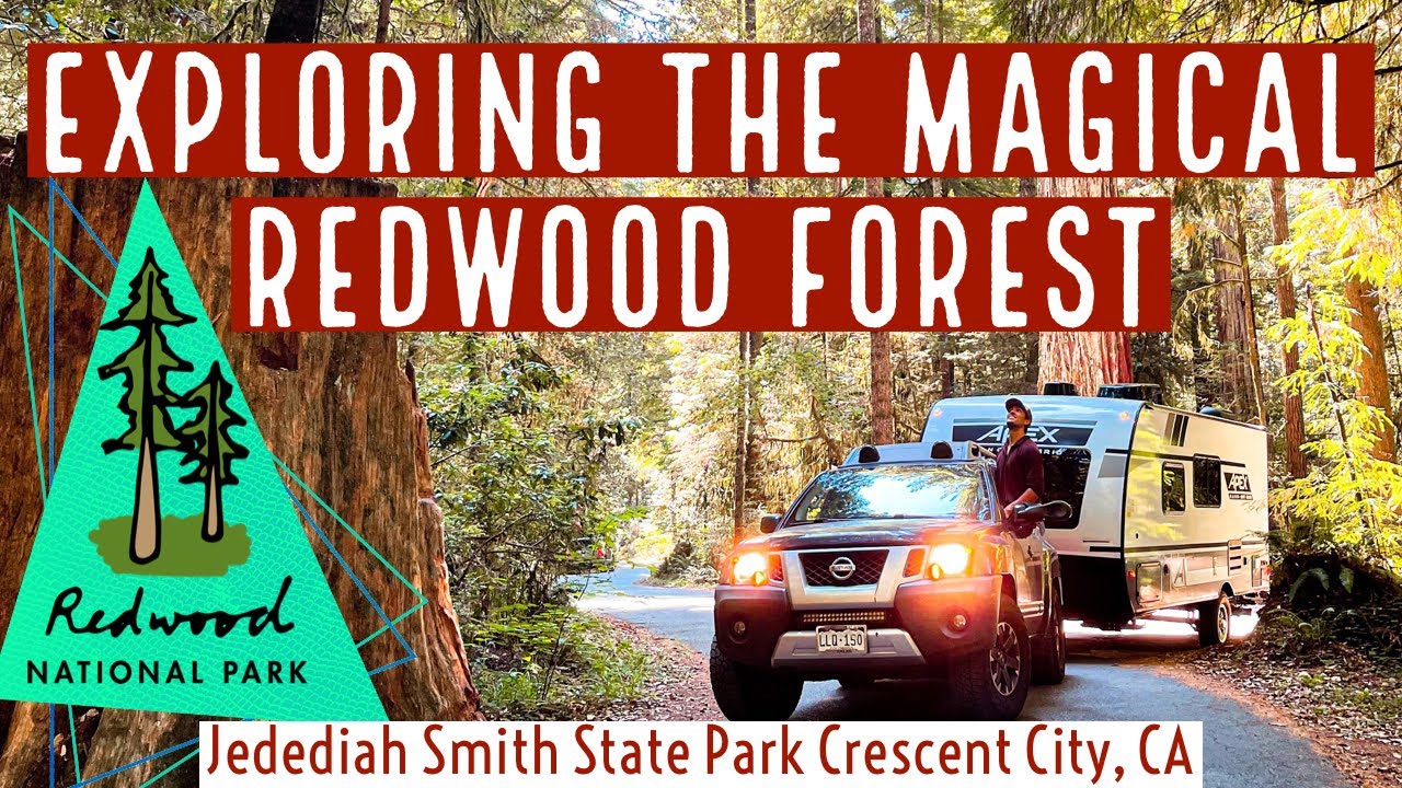 RVing the Redwood Forest- Breathtaking beauty at every turn - YouTube