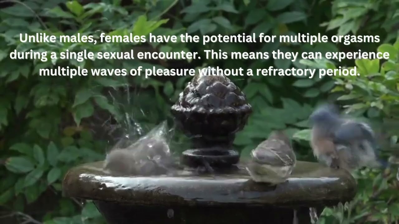 Women Have More Organs Than Men YouTube Women Have More Organs Than Men YouTube