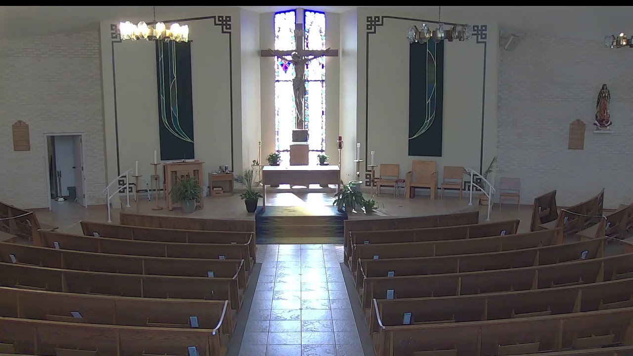 St Egbert Catholic Church Live Stream - YouTube